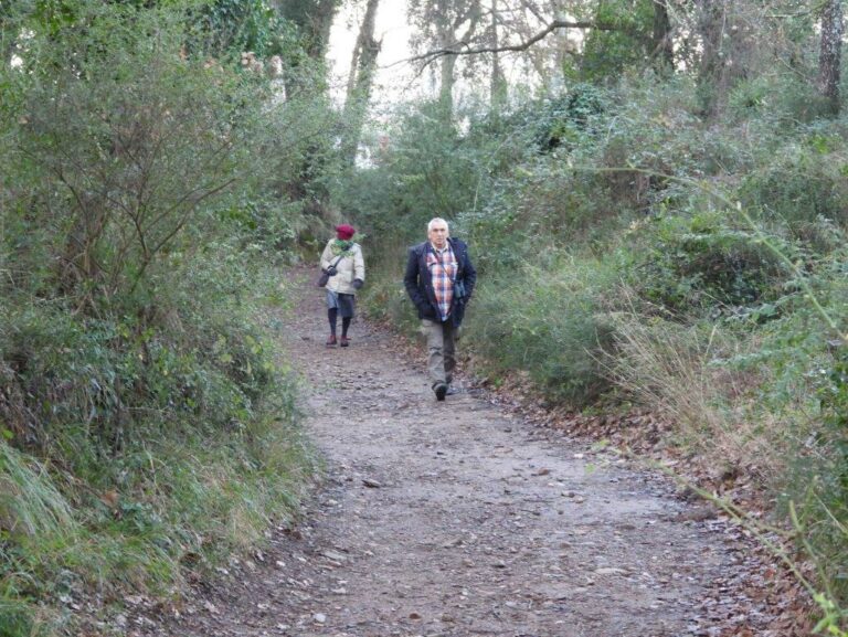 Promenade matinale au CRAPA des Borrels – Groupe local Hyères les Maures