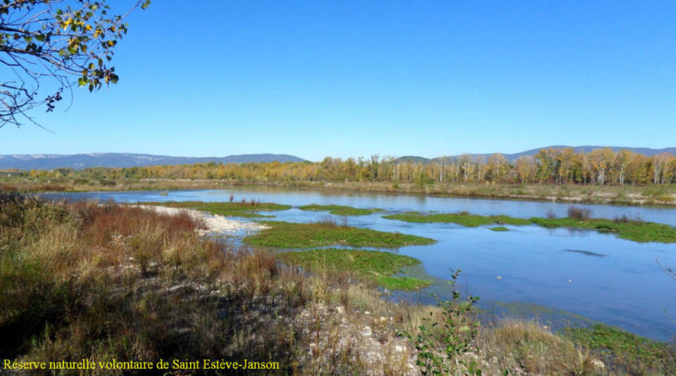 Sortie nature à Saint Estève-Janson du 30 Octobre 2016 – Groupe local ...