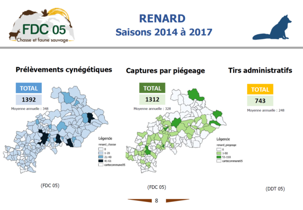La Préfète des Hautes-Alpes décrète l’éradication des Renards roux dans ...